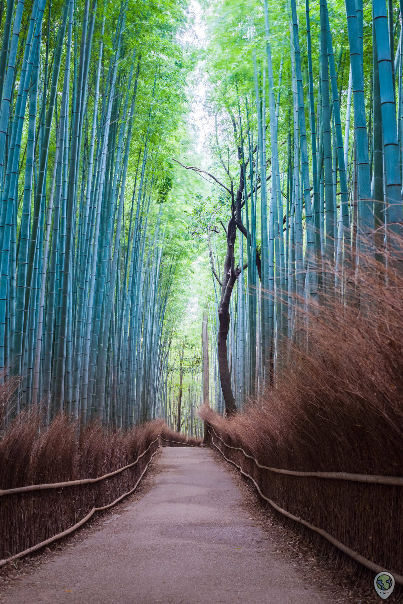Lugares imprescindibles que ver en Kioto - Los Viajamundos