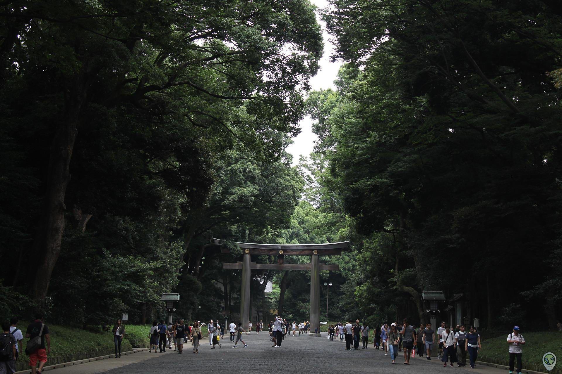 Lugares imprescindibles que ver en Tokio - Los Viajamundos